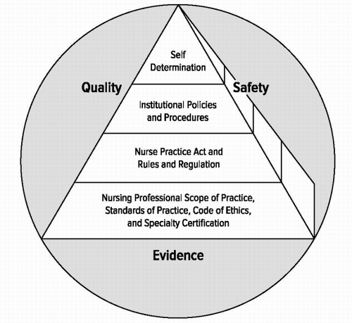 Standards Of Nursing Practice Nurse Key